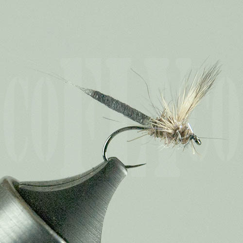 Adams Comparadun Sci-Fly | Colorado Fly Company