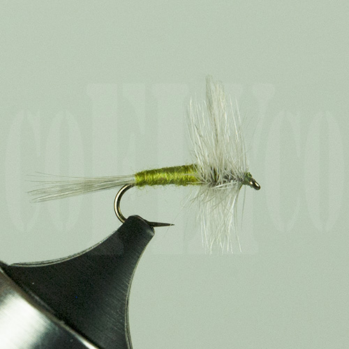 Blue Wing Olive | Colorado Fly Company