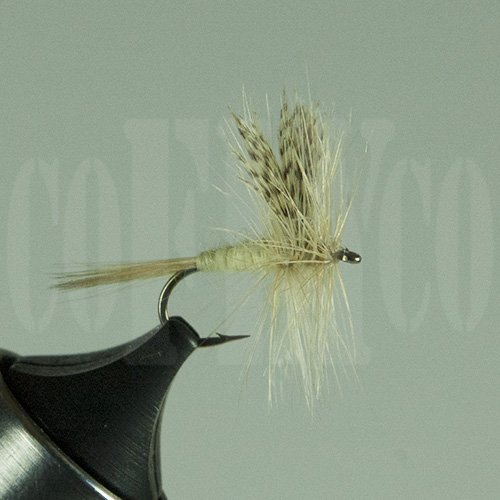 Light Cahill | Colorado Fly Company