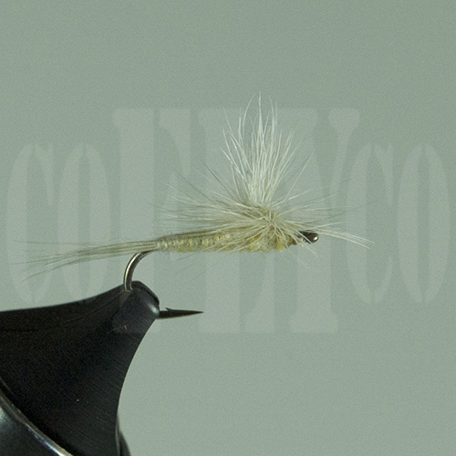 Light Cahill Parachute | Colorado Fly Company