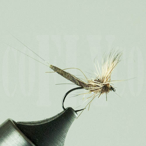 Callibaetis Comparadun Sci-Fly | Colorado Fly Company