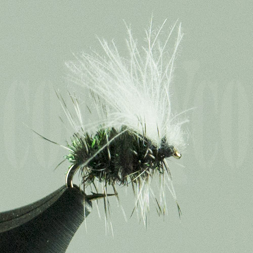 Cluster Midge Harrop | Colorado Fly Company