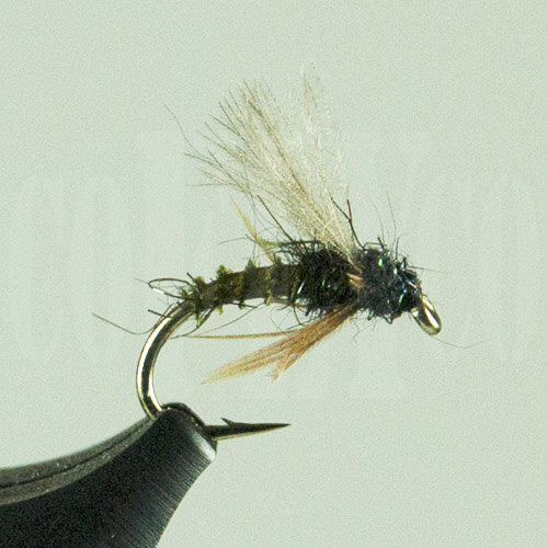 Caddis Emerger Biot Olive Harrop | Colorado Fly Company