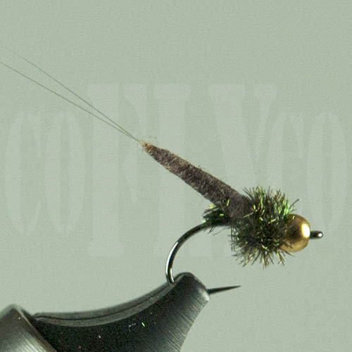 Micro Mayfly March Brown Beadhead Sci-Fly | Colorado Fly Company