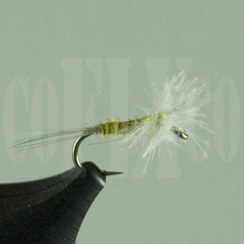Pale Morning Dun Biot Spinner Harrop | Colorado Fly Company