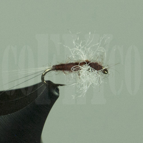 Rusty Spinner | Colorado Fly Company