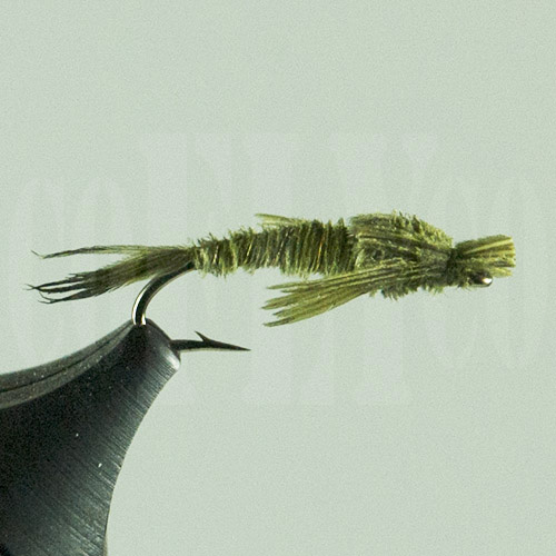 Turkey Tail Nymph Olive Harrop | Colorado Fly Company
