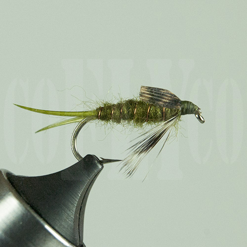 Olive Nymph Skykomish | Colorado Fly Company