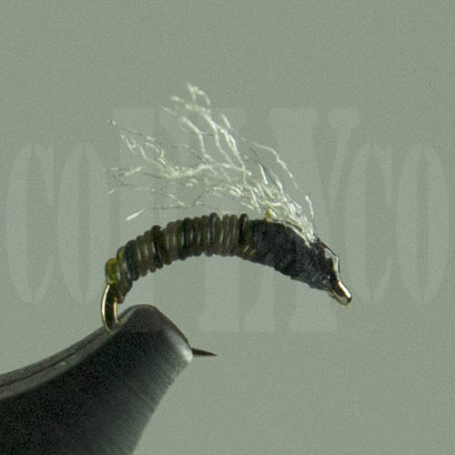 Ninja Midge | Colorado Fly Company