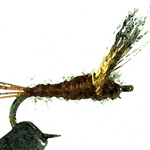 Comparadun - Always High Quality at Discount Prices | CO Fly Co