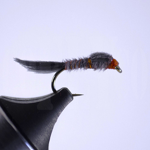 Grey Goose Nymph | Colorado Fly Company