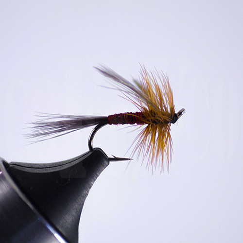 Ruby May | Colorado Fly Company