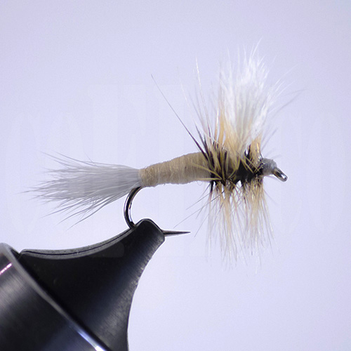 Wulff White FM | Colorado Fly Company