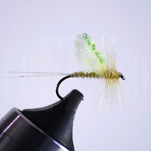 Light Cahill Cut Wing | Colorado Fly Company