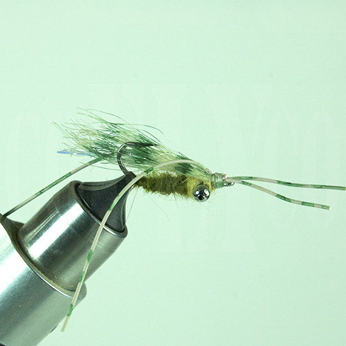 Flats Shrimp | Colorado Fly Company